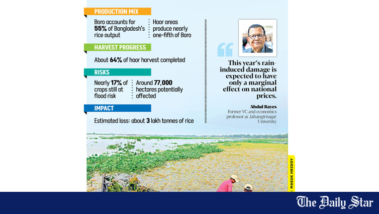 Haor Flood Impact On Bangladesh Rice Production 2026 | What it means ...